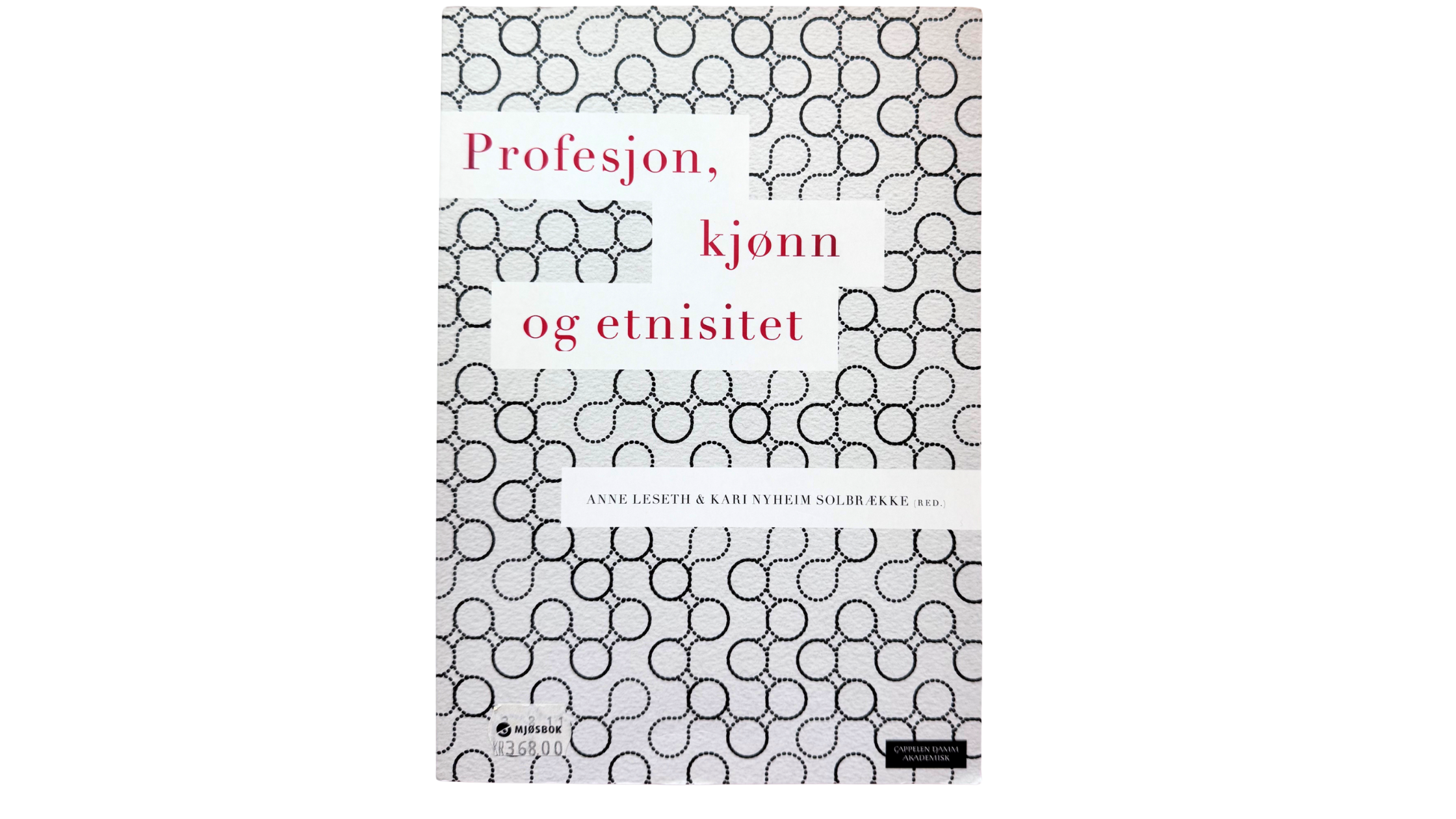 Profesjon, kjønn og etnisitet - Karrieresenter Østfold